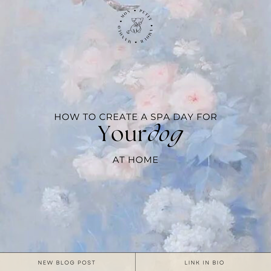How to Create a Spa Day for Your Dog at Home: Tips for a Luxurious Pet ...
