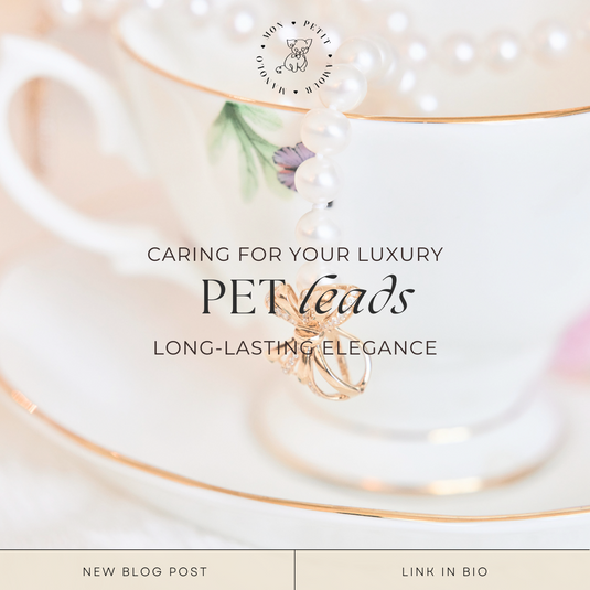 Elevate Your Dog's Lifestyle with Premium Pet Products – Mon Petit ...