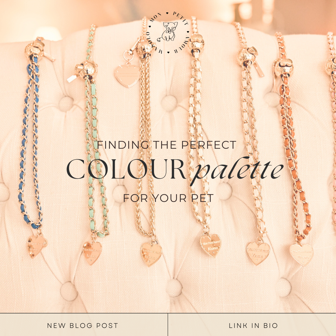 Finding the Perfect Colour Palette for Your Pet – Mon Petit Amour Manolo