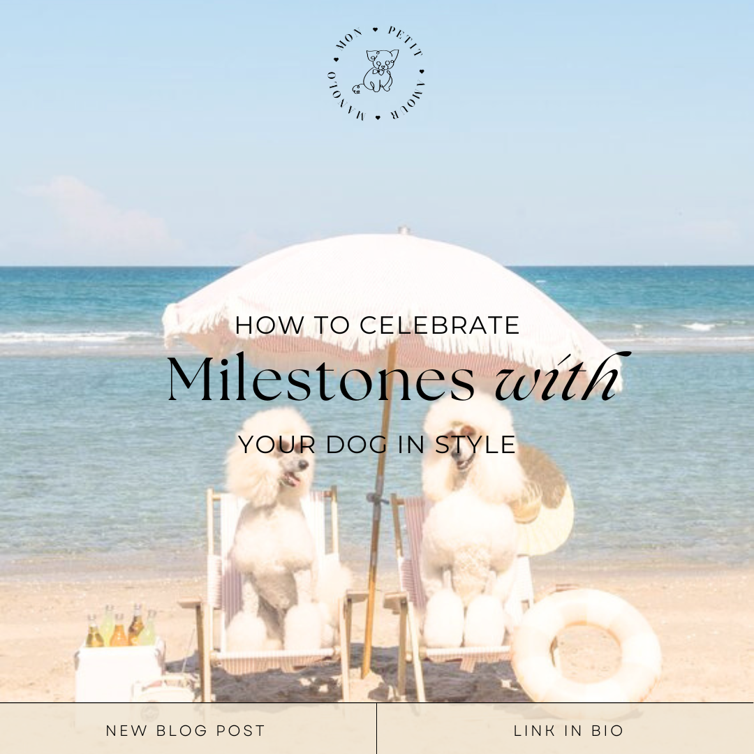 How to Celebrate Milestones with Your Dog in Style – Mon Petit Amour Manolo