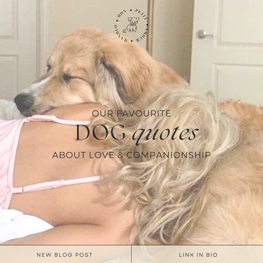 Luxurious Custom Dog Leads: The World's Priciest Picks – Mon Petit ...