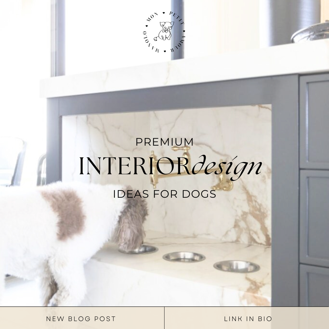 From Living Room to Luxe: Interior Design Ideas for Dog Owners – Mon ...