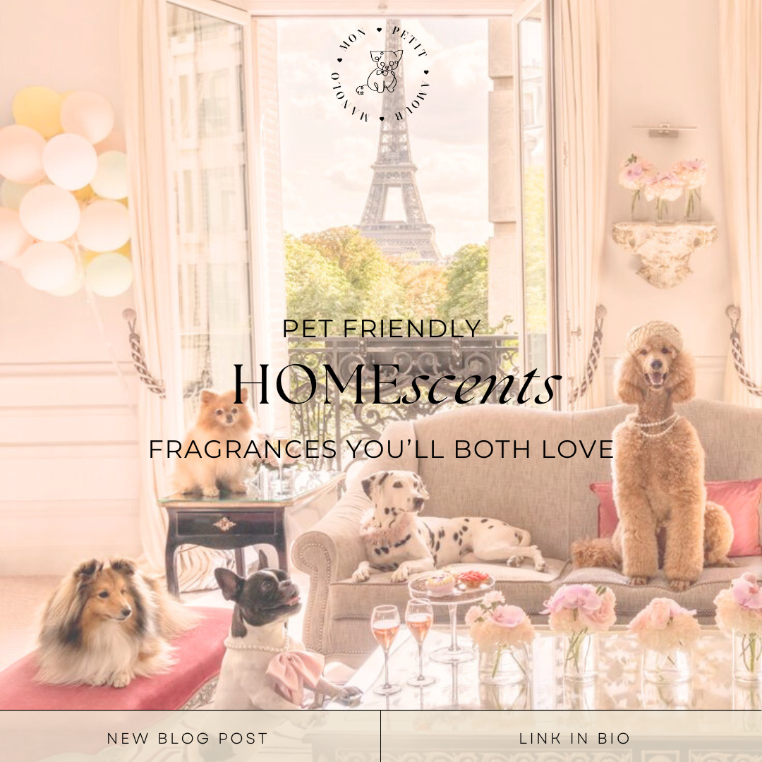 Pet-Friendly Home Scents: Fragrances That Freshen Without Overwhelming ...