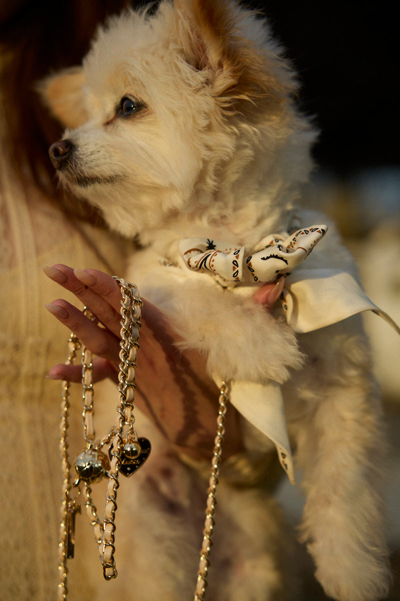 Luxury & Designer Personalized Dog Leashes – Mon Petit Amour Manolo