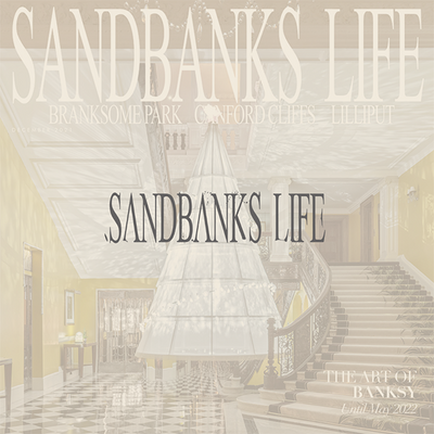 Mon Petit Amour Manolo | Luxury Dog Accessories & 14k Gold Leashes