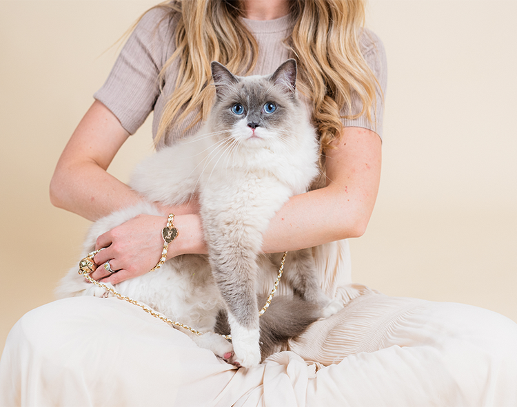 Mon Petit Amour Manolo | Luxury Dog Accessories & 14k Gold Leashes